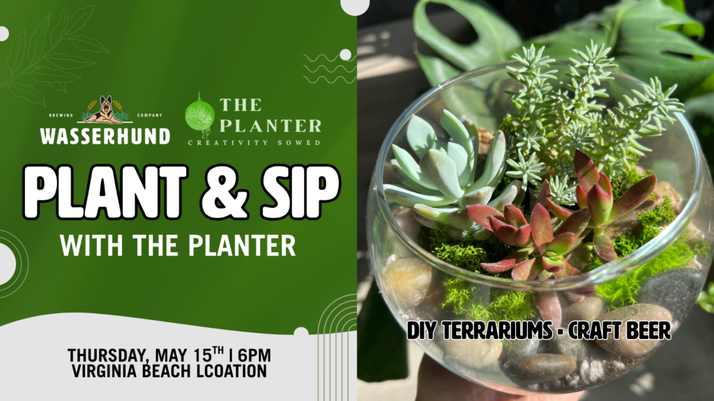 Plant & Sip with The Planter - Wasserhund Brewing Company